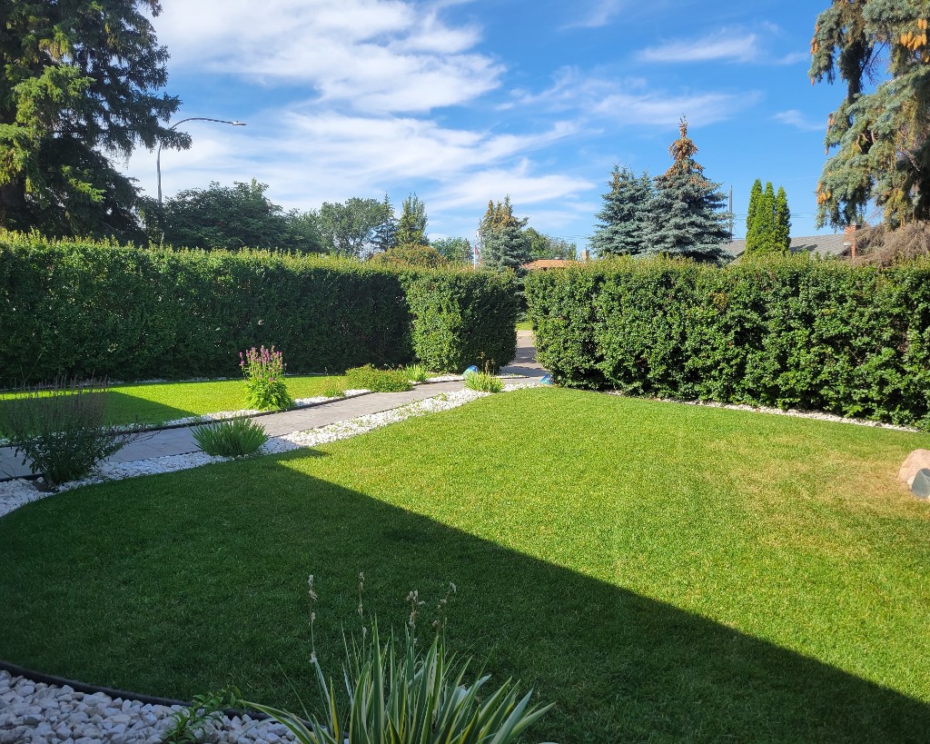 Justin Layton : Neighbourhood Fulton Place Edmonton Alberta